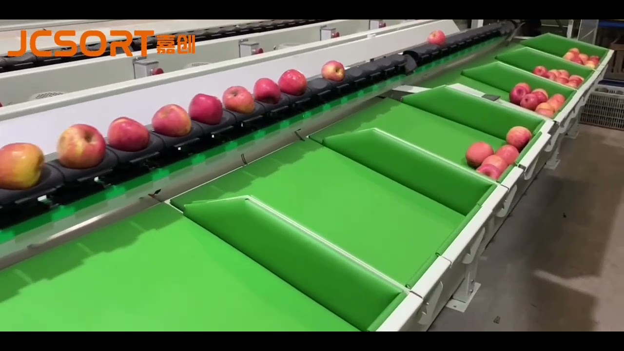 Apple grader, apple weight sizer, apple separator, apple calibration ...
