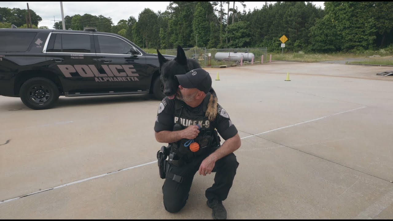 Meet K9 Mattis - One of the most popular police K9's! - YouTube