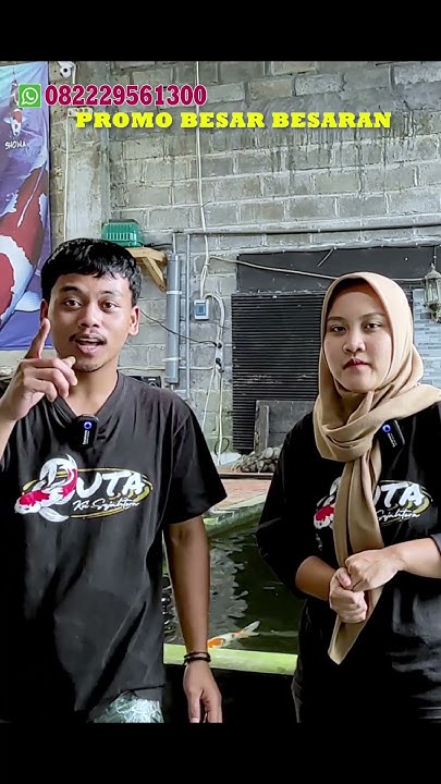 BURUAN !! ADA PROMO BESAR BESARAN BOSKU #ikankoi #koifish #koiblitar - YouTube