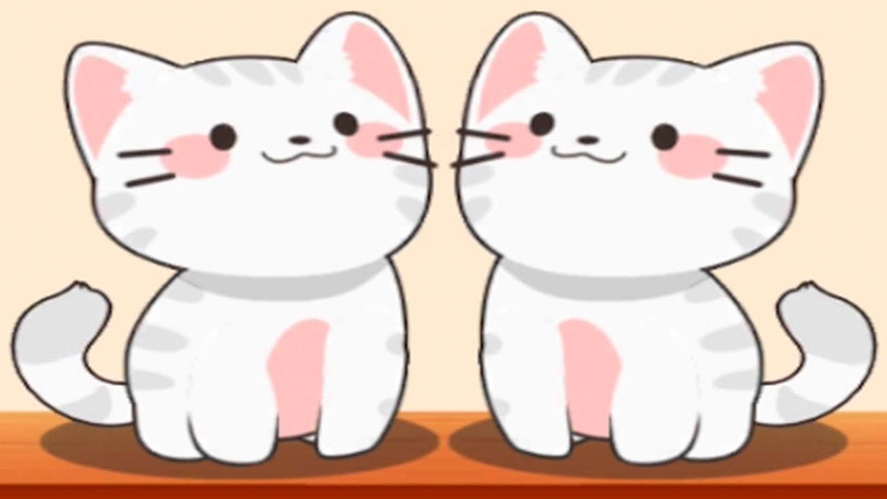 Duet Cats Cute Popcat Music - all SONG, TWIN CATS and FOOD - YouTube