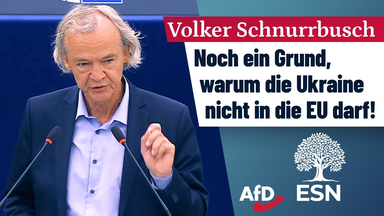 Noch ein Grund, warum die Ukraine nicht in die EU darf! – Volker Schnu - YouTube