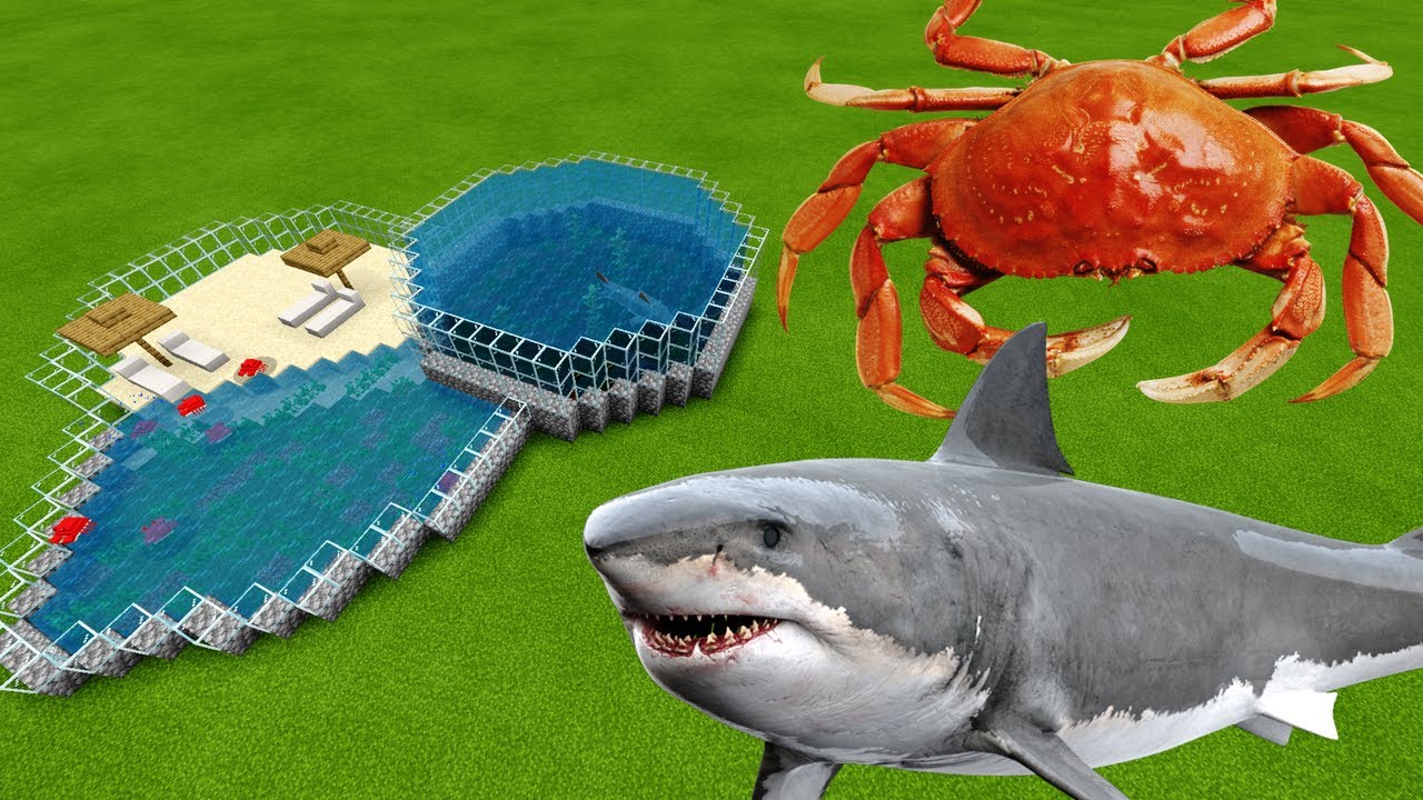MCPE: How To Make a Crab & Shark Farm - YouTube