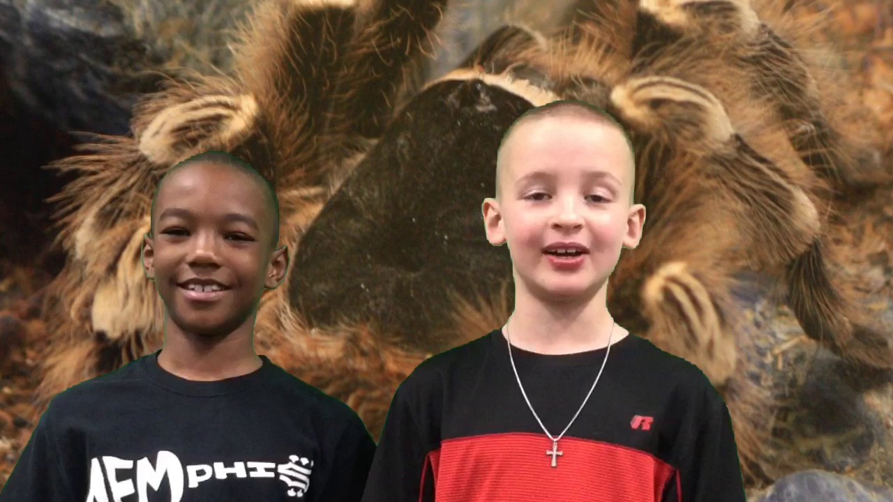 Tooth Fairy Wars - YouTube