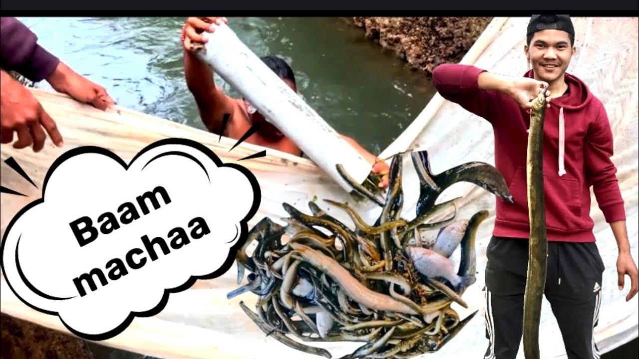 Pokhara ko local baam macha marne tarika 😀 pirejhar ko kamal hai ...
