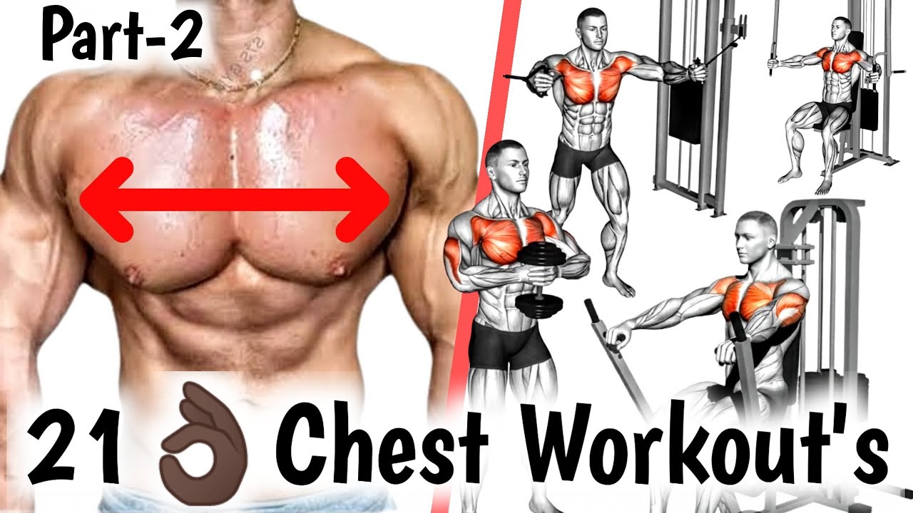Top 21 chest Workout's Part-2 || Exercise - Workout 4D ...