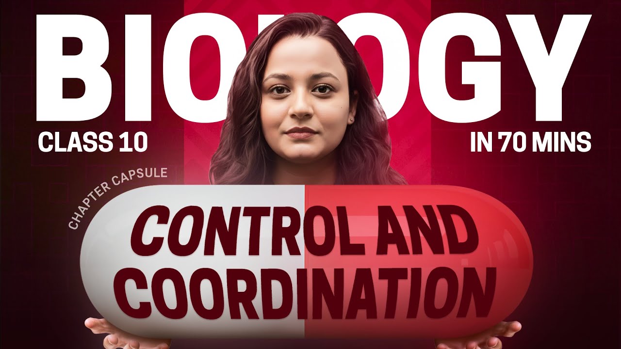 Control and Coordination Class 10 – Full Chapter Capsule (One Shot) | NCERT Biology - YouTube