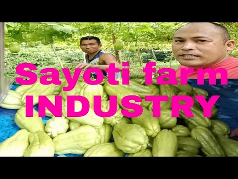 SAYOTI INDUSTRY IS GOOD. - YouTube