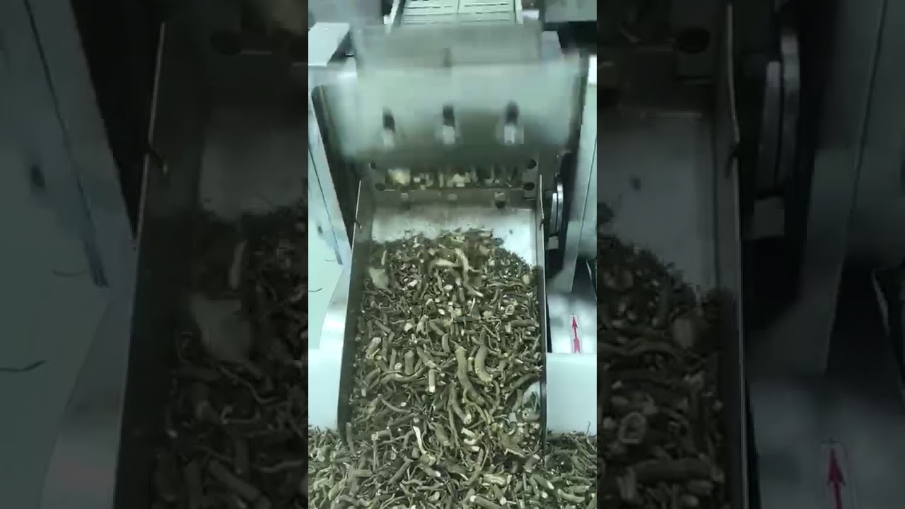 Kava root cutting machine - YouTube