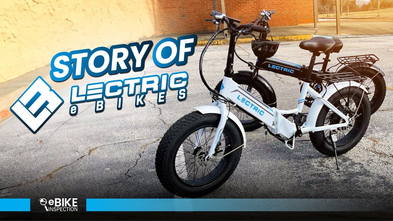 Crazy Story of Lectric E-bikes - From Childhood Friendship to Million ...
