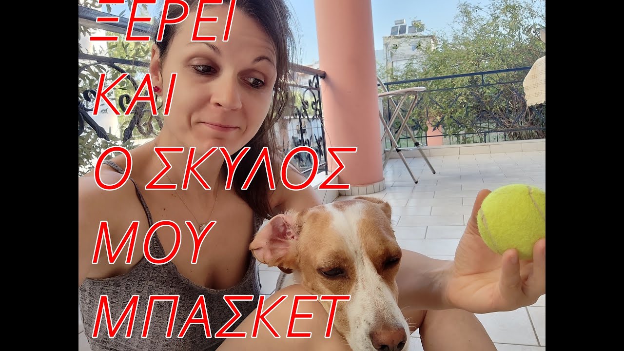 ΜΑΘΑΙΝΟΥΜΕ ΜΠΑΣΚΕΤ ΜΕ ΤΟΝ ΣΚΥΛΟ ΜΟΥ ΚΑΙ ΤΑ ΚΑΤΑΦΕΡΑΜΕ. - YouTube
