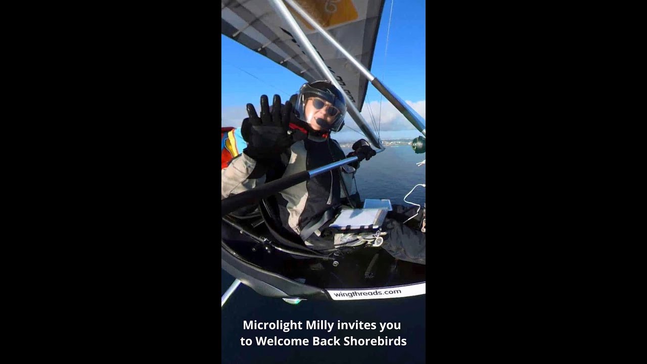Milly Formby of Wingthreads invites you to Welcome Back Shorebirds ...