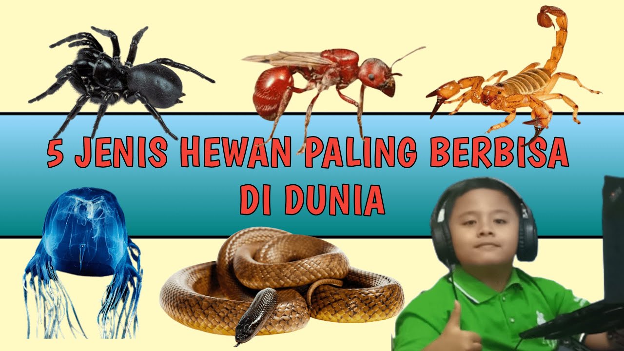 5 JENIS HEWAN PALING BERBISA DI DUNIA - YouTube