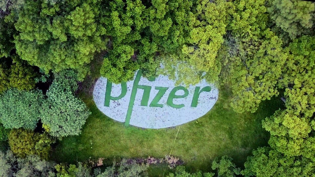 PFIZER MÉXICO - YouTube