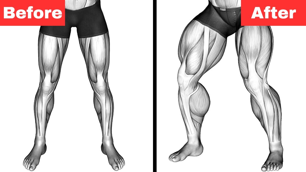 7 Best Dumbbell Exercises for Strong, Defined Legs - YouTube