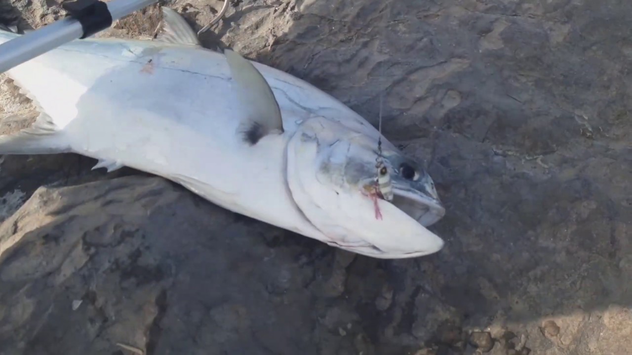 Mina break water unlock queen fish - YouTube