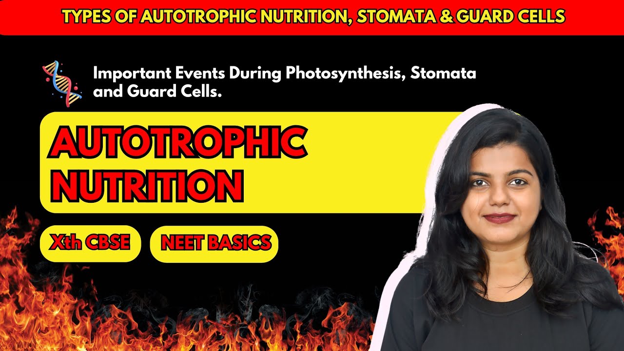 Lec 02- Autotrophic Nutrition & Types | Events During Photosynthesis ...