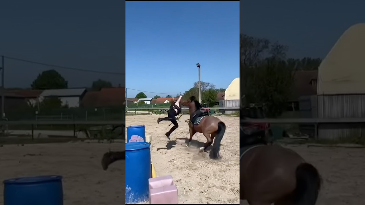 ONE LIFE 😎 #equitation #horse #pourtoi #chute #cheval #drole - YouTube