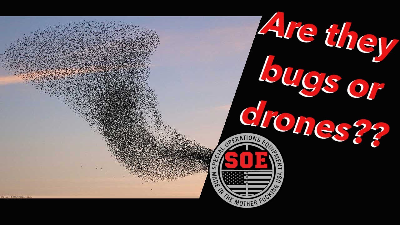 Are the bugs bugging you, or are they "bugging" you? @DJI #drone #drones #dronevideo # ...
