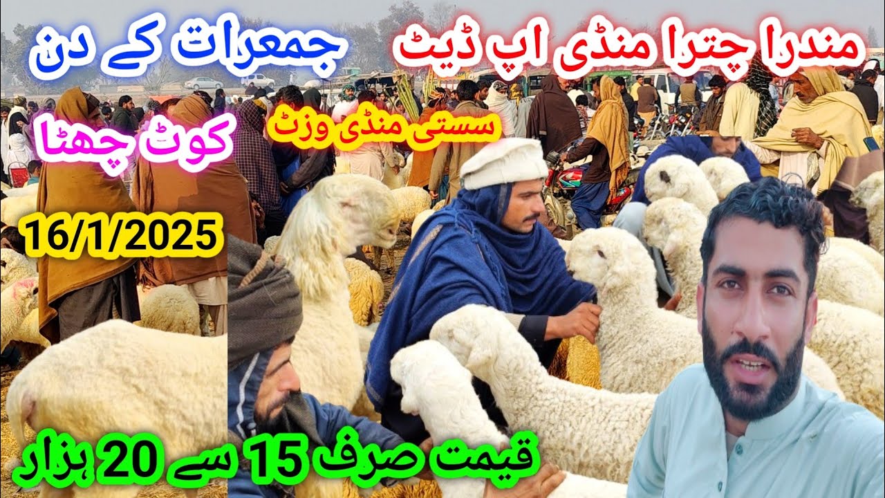 Today's latest update: Mundra area market kot chhota Check Mundra Rate ...