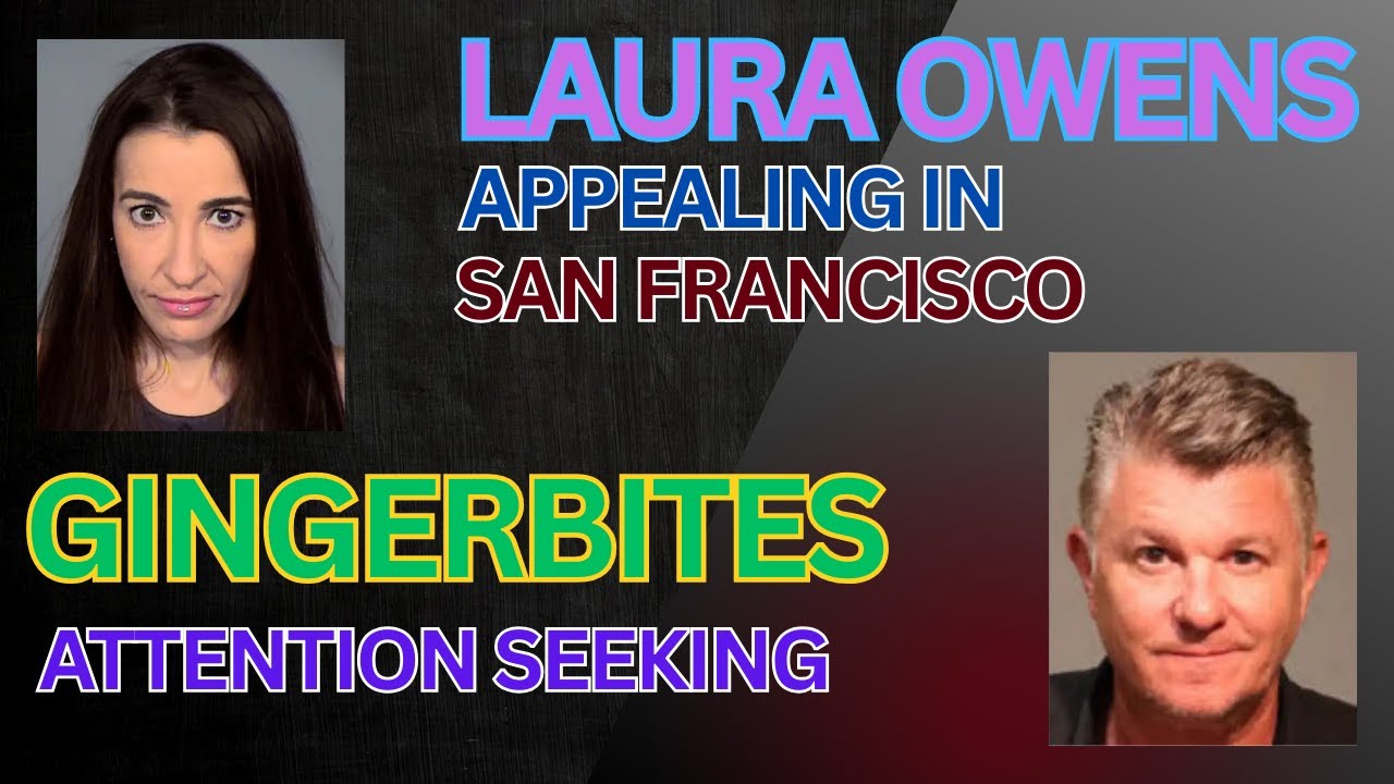 Weekend round up of Laura Owens appealing her DVRO loss and MORE ...