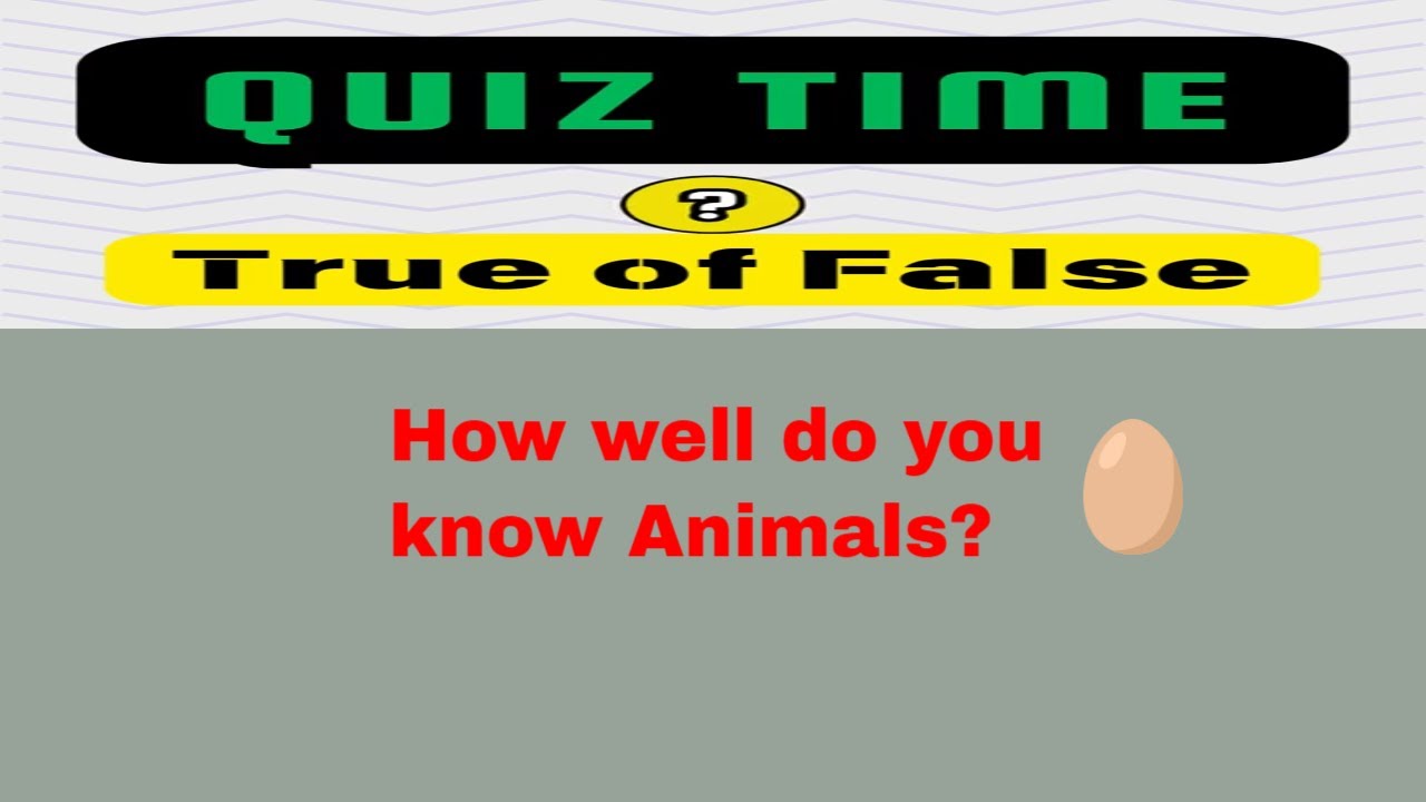 QuizTime - The best animal TRUE or FALSE quiz questions PART 1 - YouTube