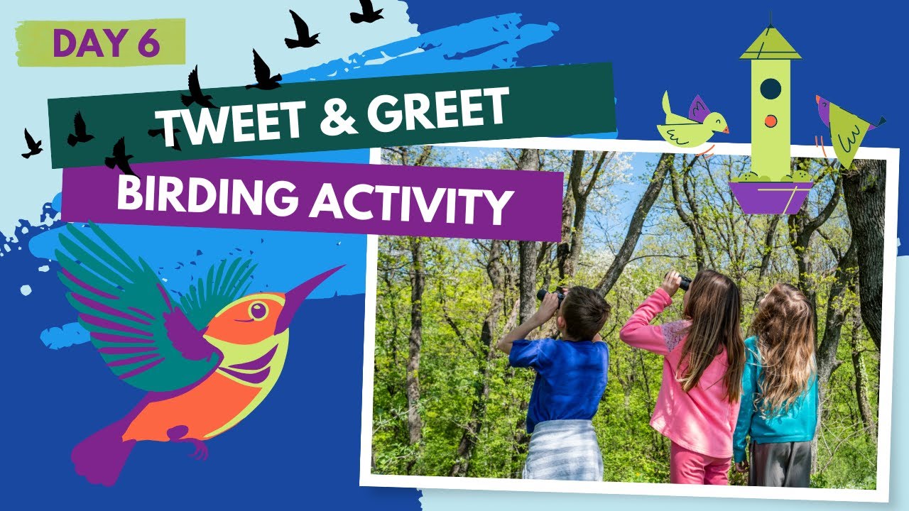 Day 6 of 7: Tweet and Greet Bird Watching - April Kids Activities ...
