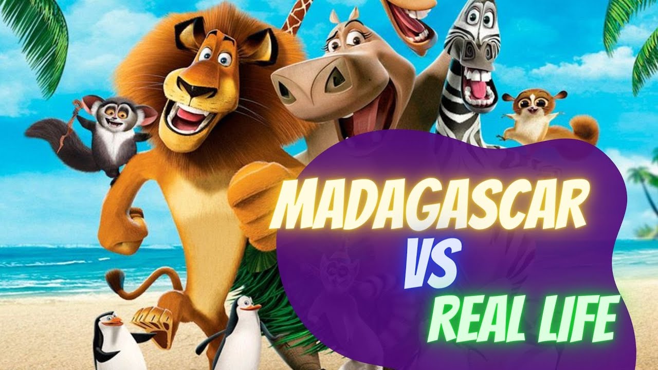 Madagascar: Cartoon vs Real Life - YouTube
