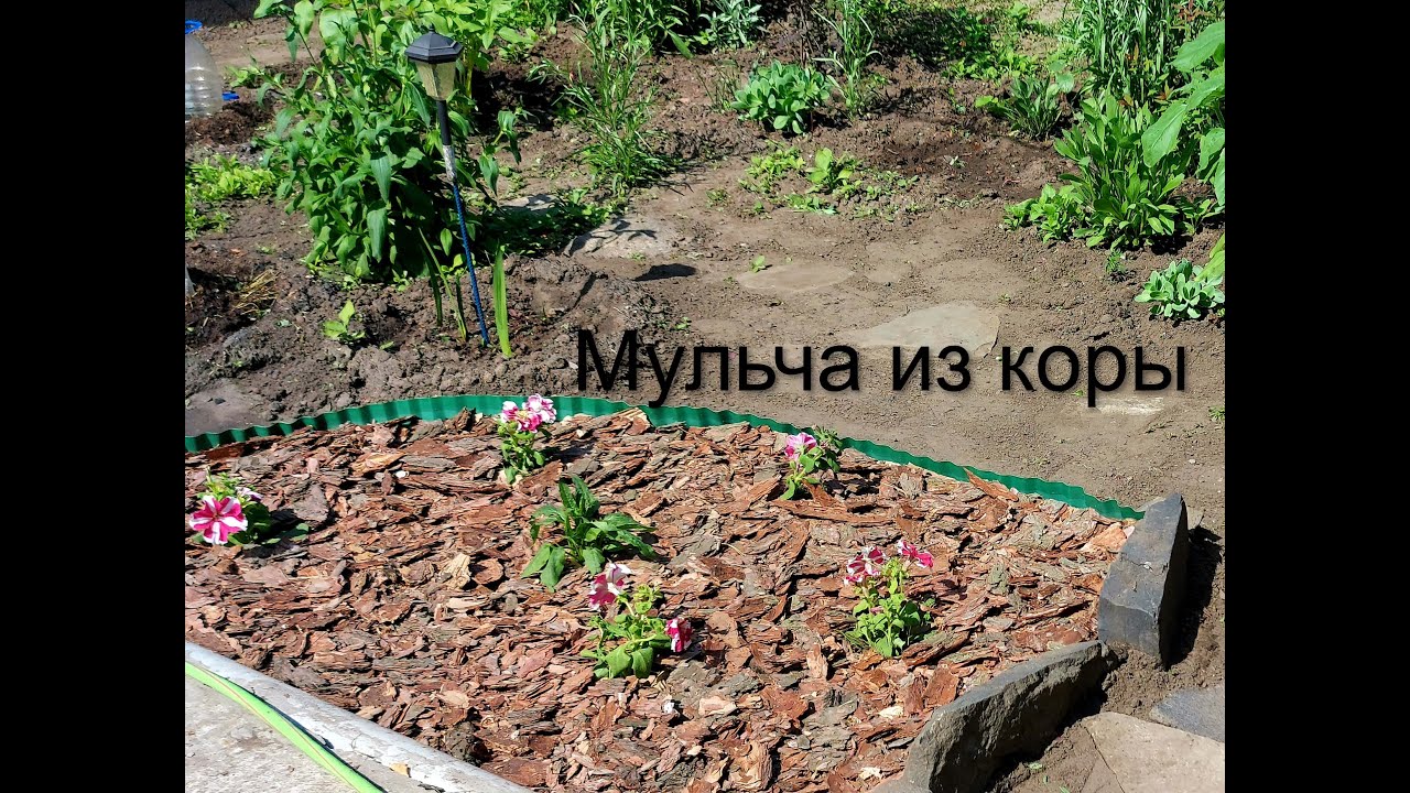 Мульча из коры. Избавляемся от сорняков. - YouTube