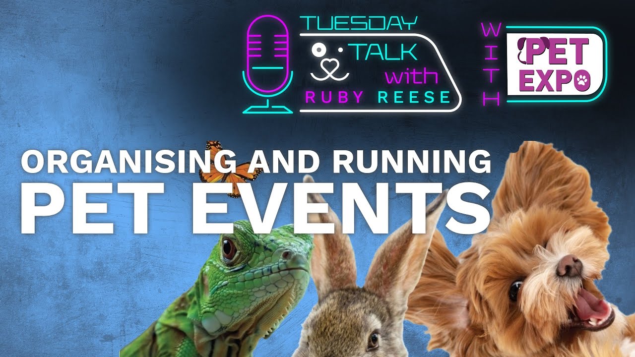 Organising and Running Pet Events - YouTube