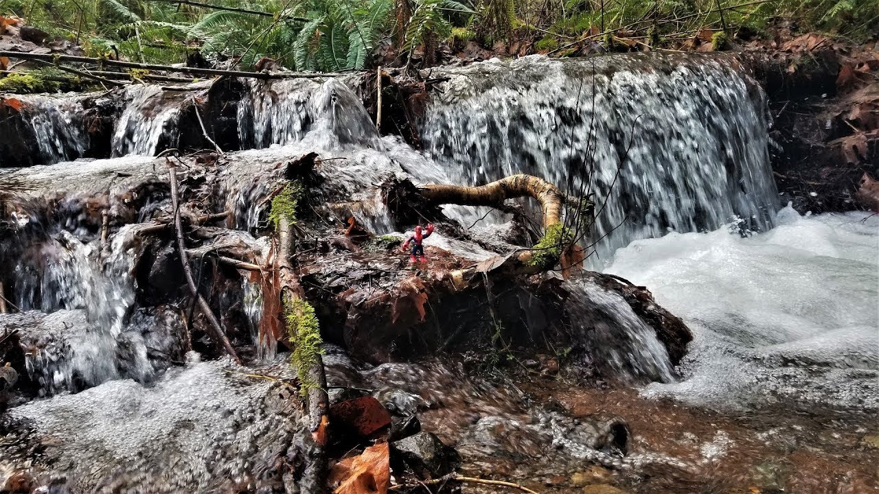 Rock Candy Trail - Capitol State Forest - YouTube