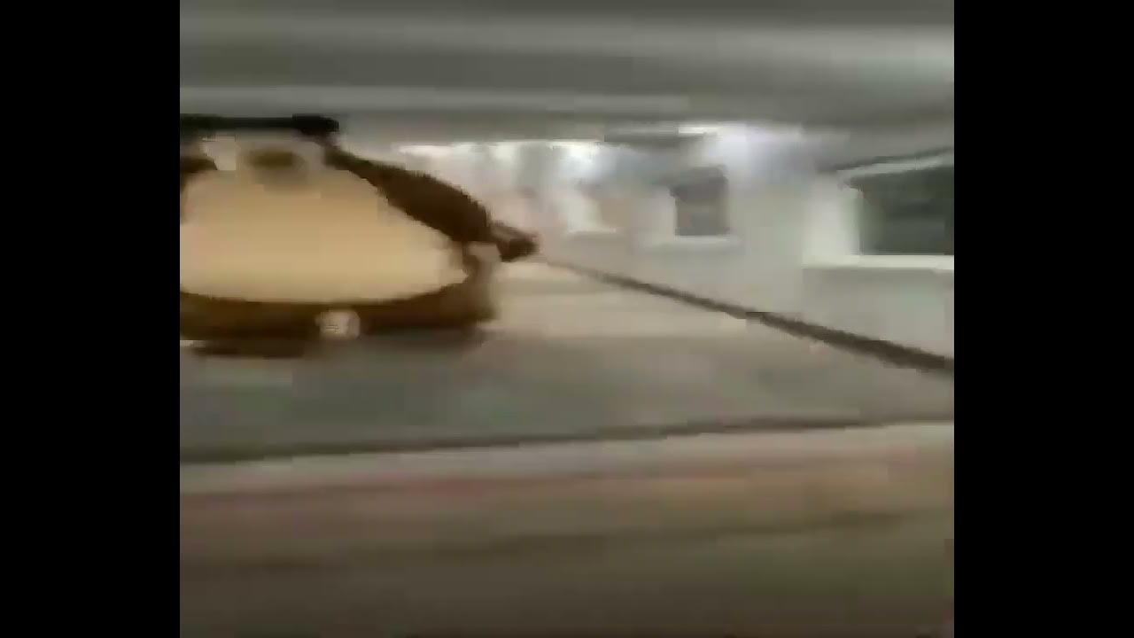Ох холеро Чи то Фредди фазбер Youtube