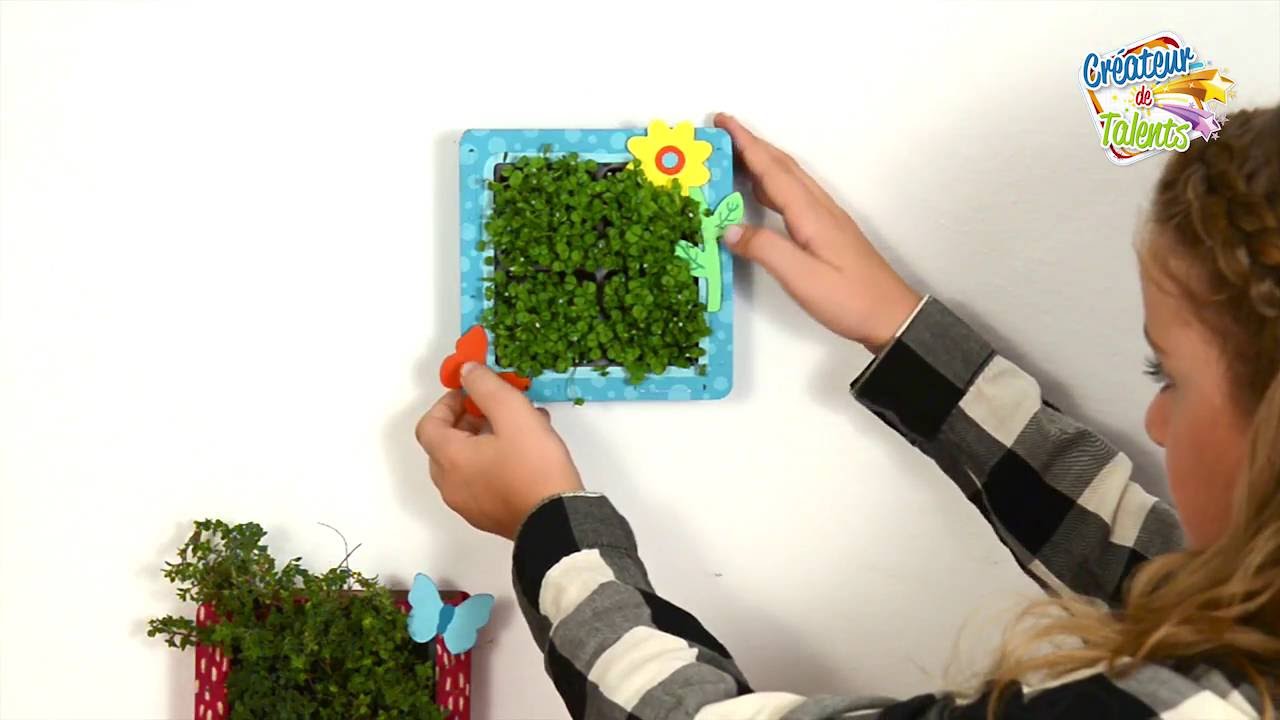 Mur Végétal - Fabrique ton propre mur végétal ! (Version courte) - YouTube
