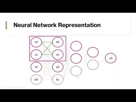 Basic Introduction to Neural Networks (Visual) - Urdu - YouTube