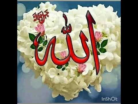 Status üçün💕DİNİ VİDEO 💕🌼 Yasin surəsi!🌼