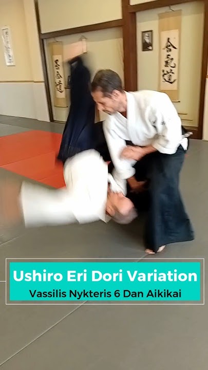 Aikido Ushiro Eri Dori Variation with Vassilis Nykteris 6 Dan Aikikai - YouTube