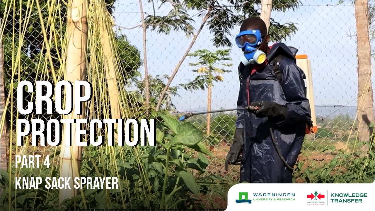 Crop Protection Part 4 – How to correctly use a Knapsack Sprayer for ...
