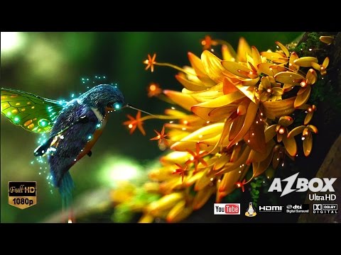 COMUNICADO OFICIAL DO TEAM AZBOX APAGÃO DIA 13/08/14 - YouTube