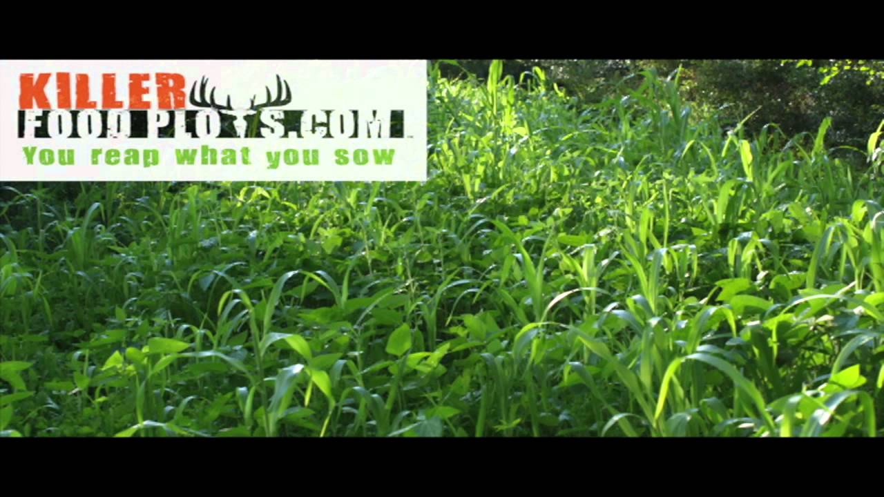 Killer Food Plots Commercial - YouTube