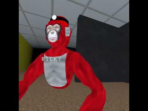 Monkey rooms trailer 2 - YouTube