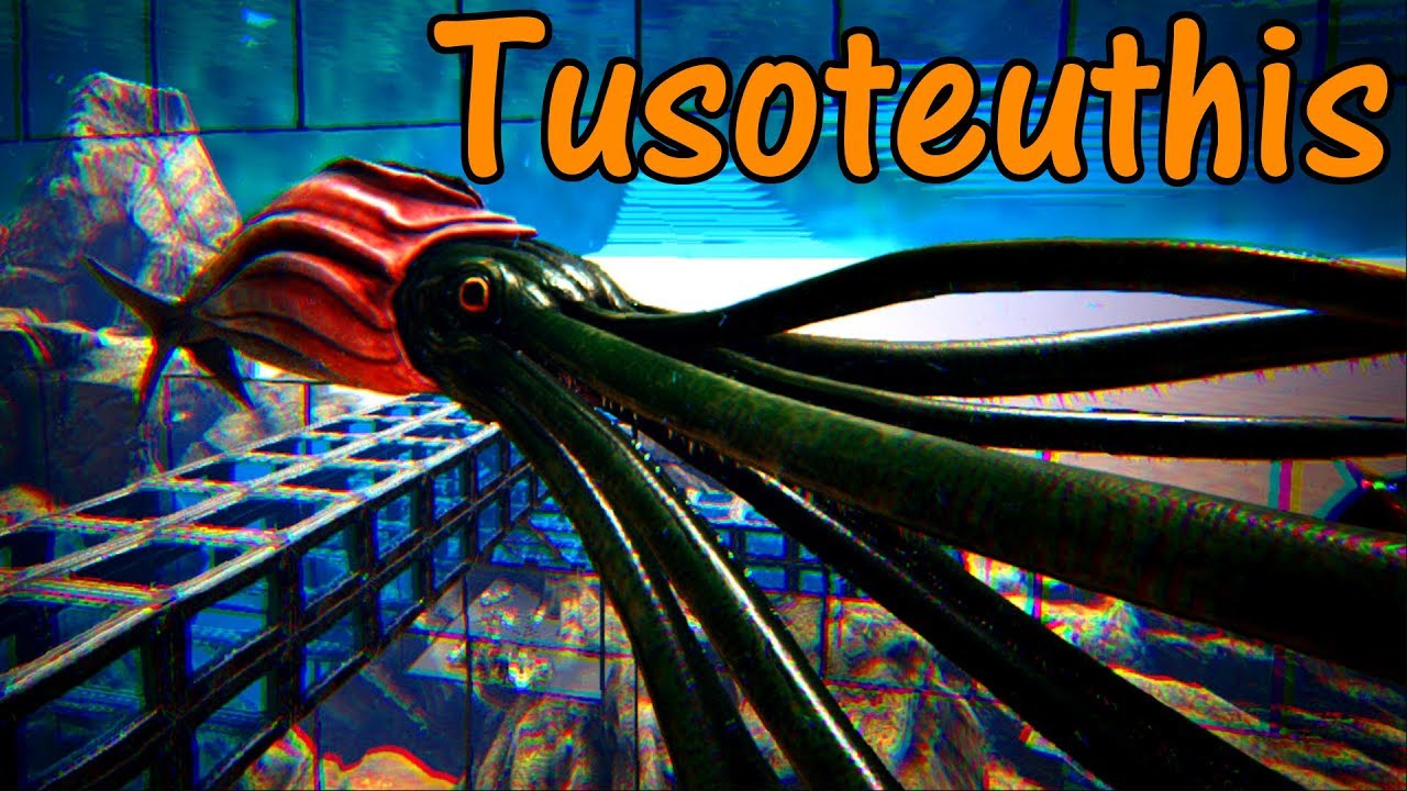 Tusoteuthis Educational Special [86] - YouTube