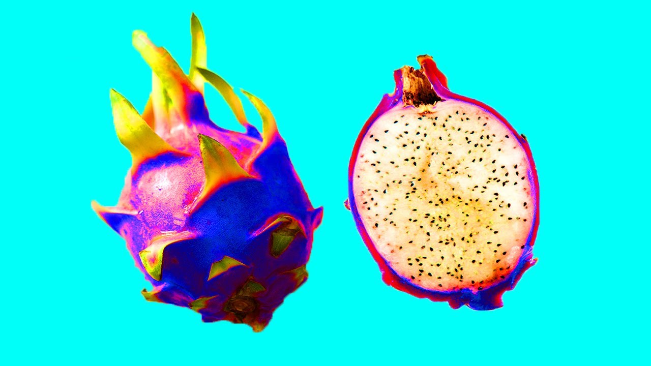 과일, 채소 및 버섯 내부의 숨겨진 패턴 스톱 모션. Hidden Patterns Inside Fruits, Vegetables ...