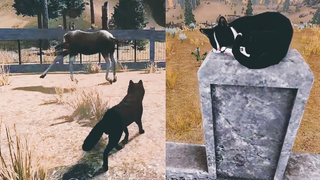 VISITANDO a FLOPPY e o GATO ESTRANHO | WolfQuest AE - YouTube