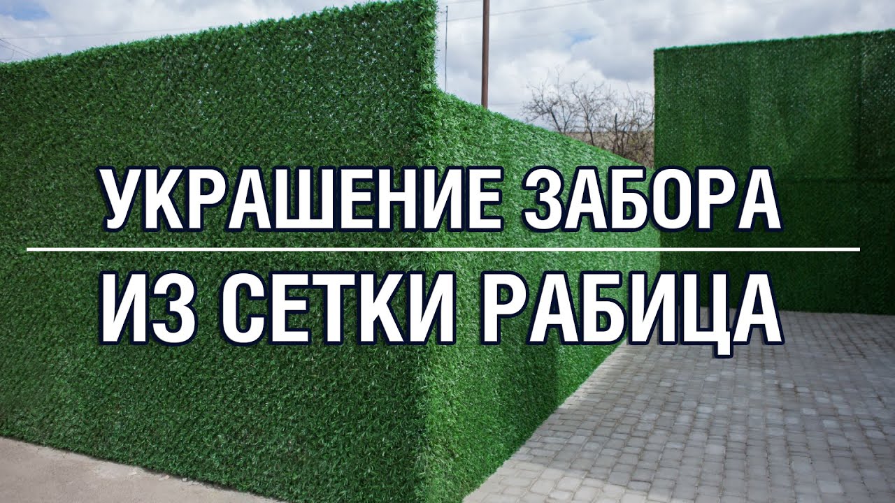 Обновите свой забор искусственным газоном: преобразите свое открытое ...