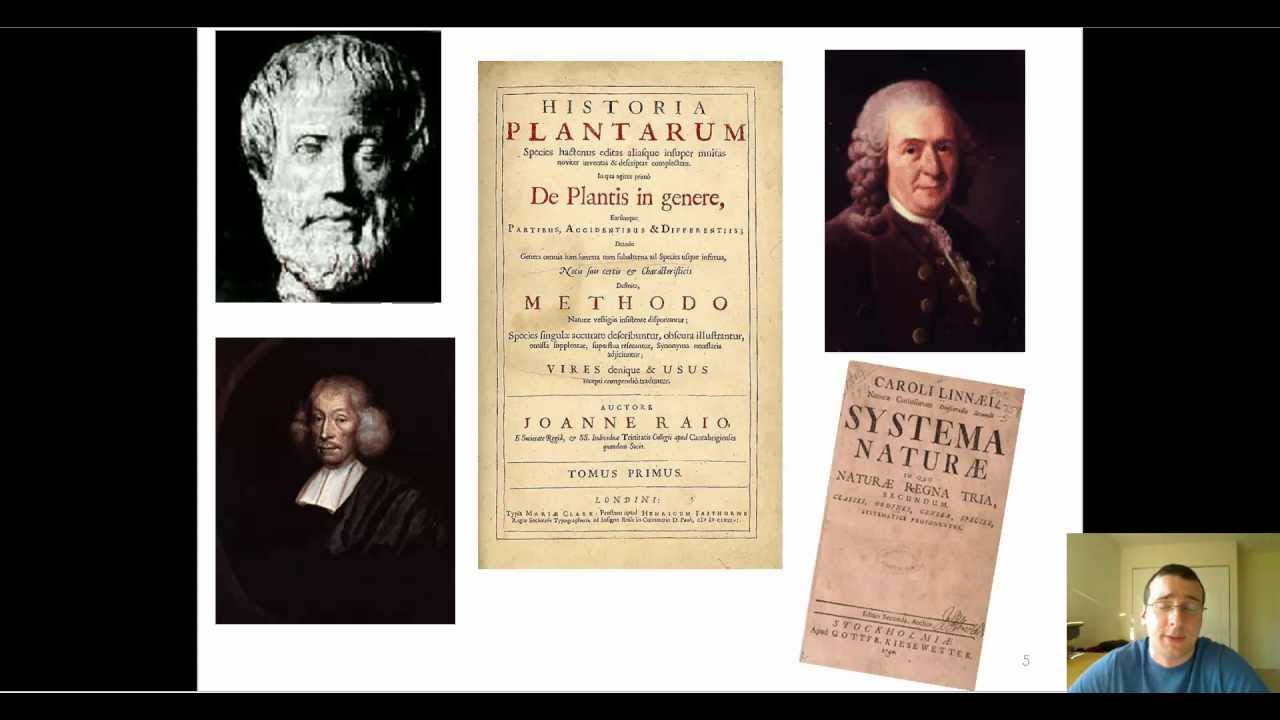 Scientific Names - History, Purpose, & Binomial Nomenclature - YouTube