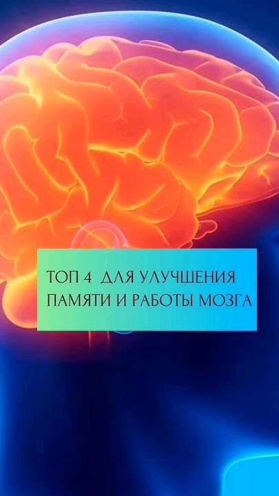 Топ 4 для улучшения памяти и работы мозга #здоровье - YouTube