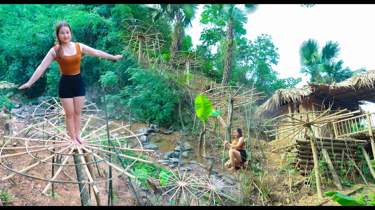How to make a trellis for cowpea and luffa plants to climb to produce ...