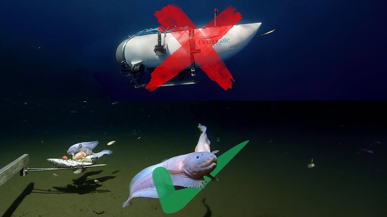 How do fish species survive in extreme depths that even submarines ...