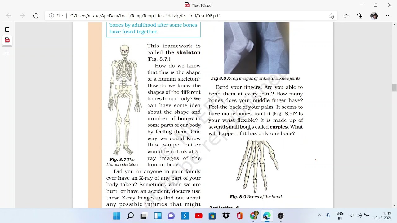 Types of Joints in Human Body, CLASS - 6, NCERT SCIENCE BOOK, CHAPTER ...