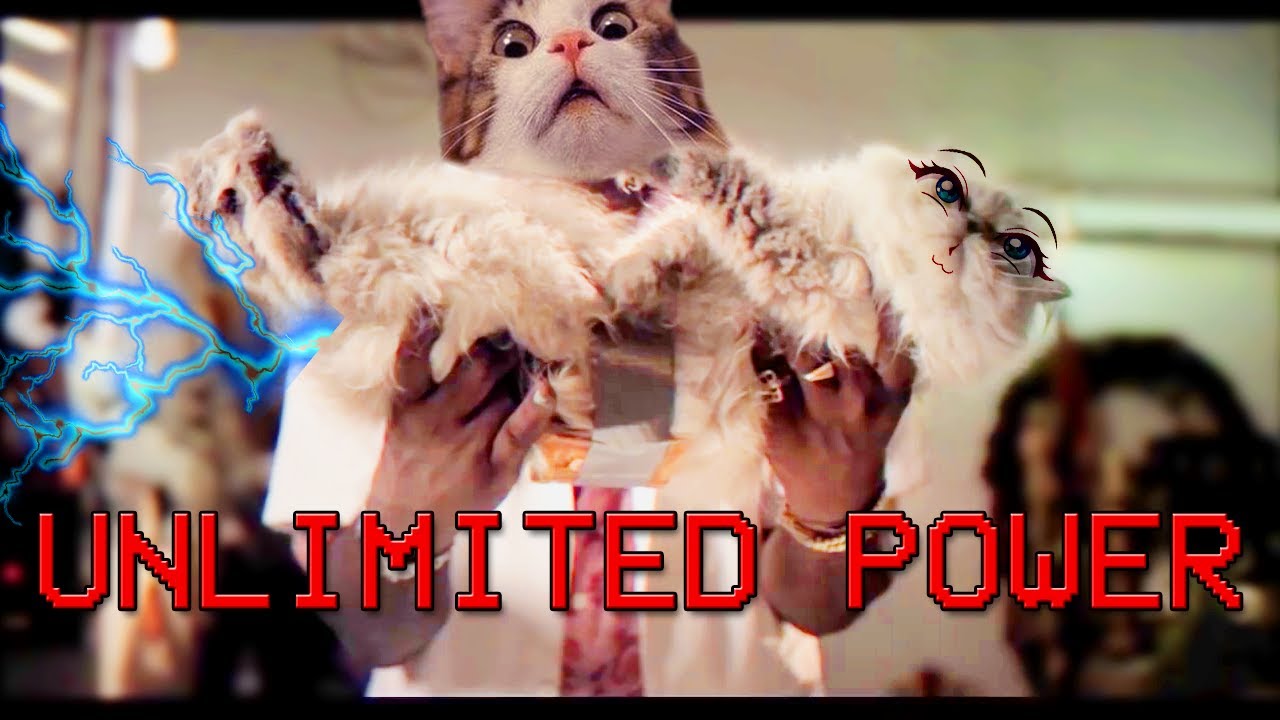 Interstellar Cat Toast Meme - YouTube