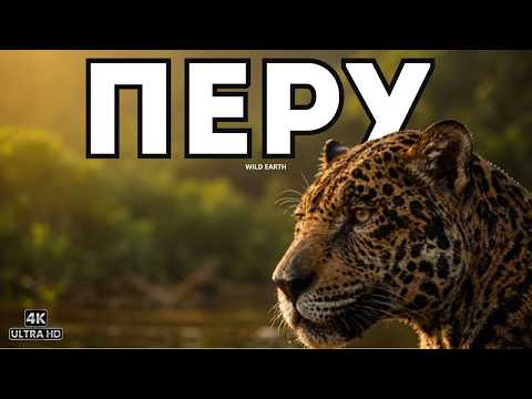 ДИКИЙ ПЕРУ: Холодное течение и  знойные джунгли | Полный документальный фильм о природе | WILD EARTH